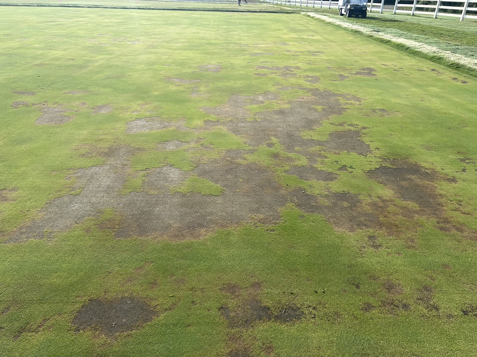 Turf Pathology | NC State Extension