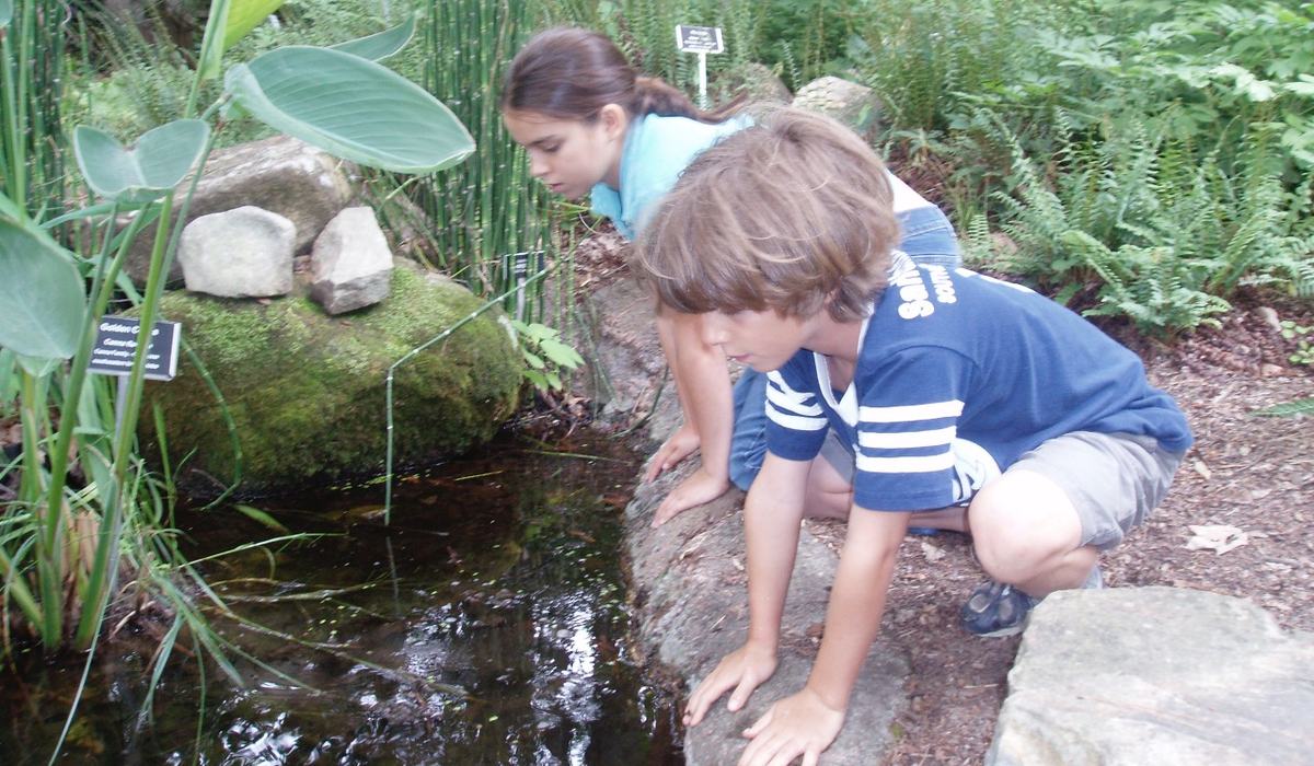 Visit State Public Gardens This Summer! - Richmond County Center | N.C ...