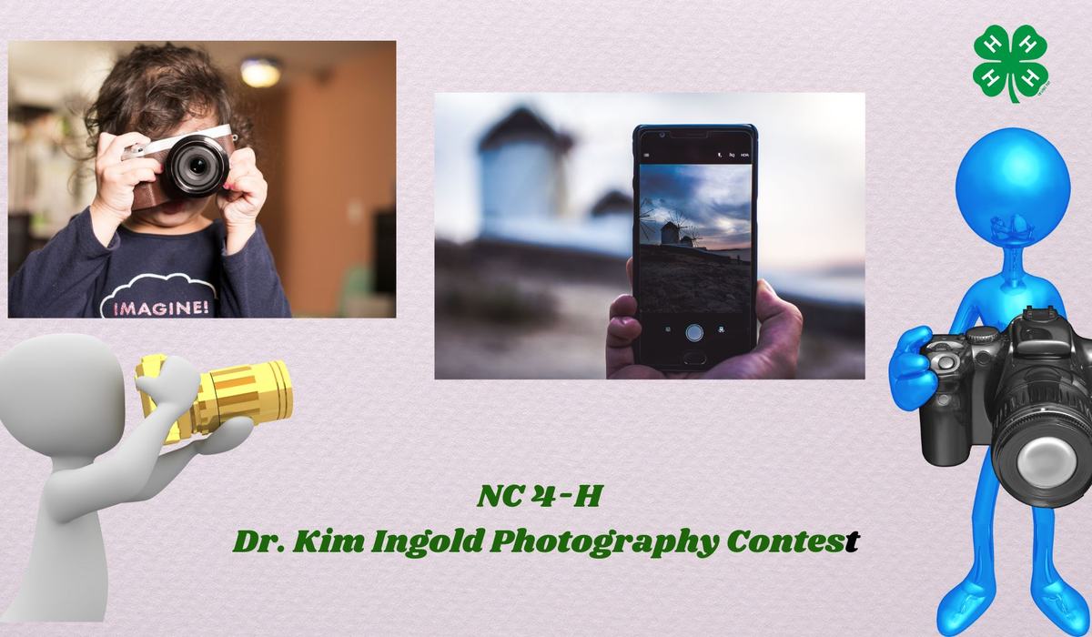 Dr. Kim Ingold 4-H Photography Contest - Currituck County Center | N.C ...