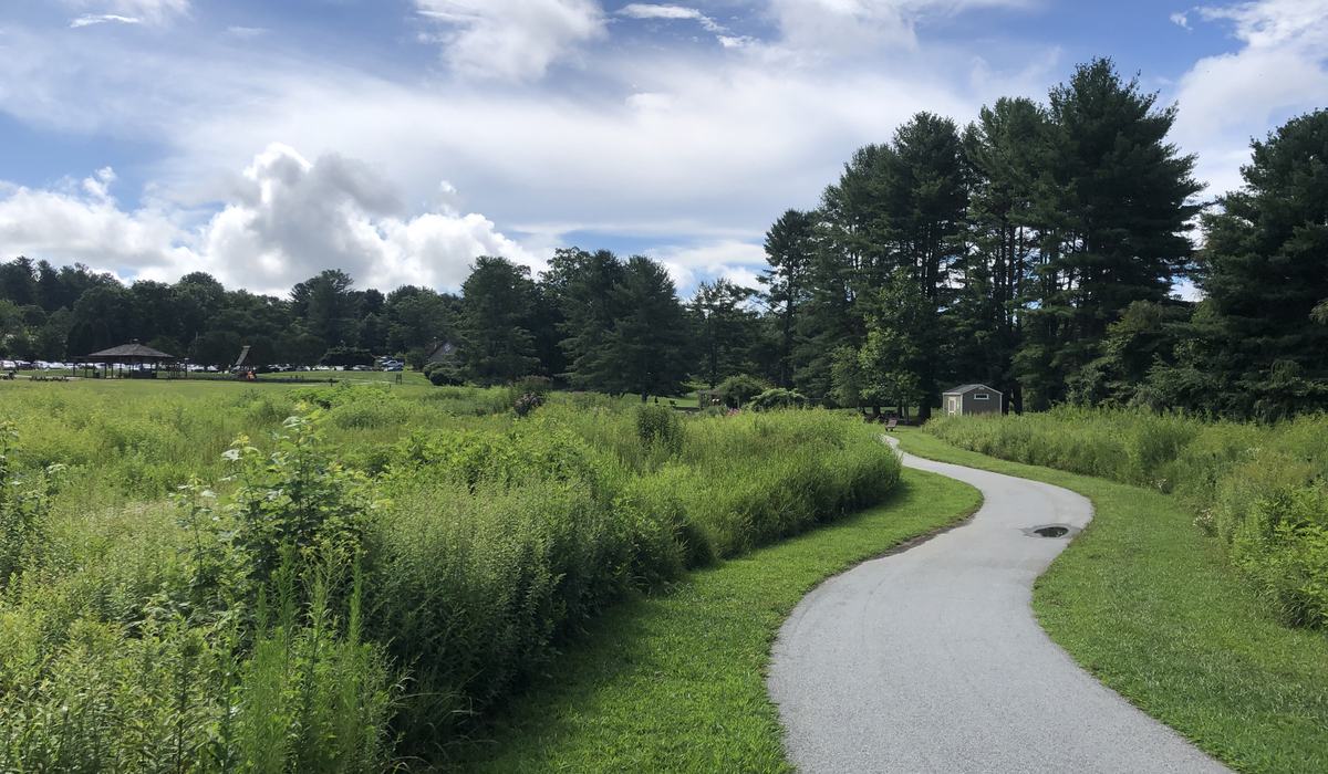 Reclaiming Your Yard: The Power of No-Mow Zones - Henderson County ...