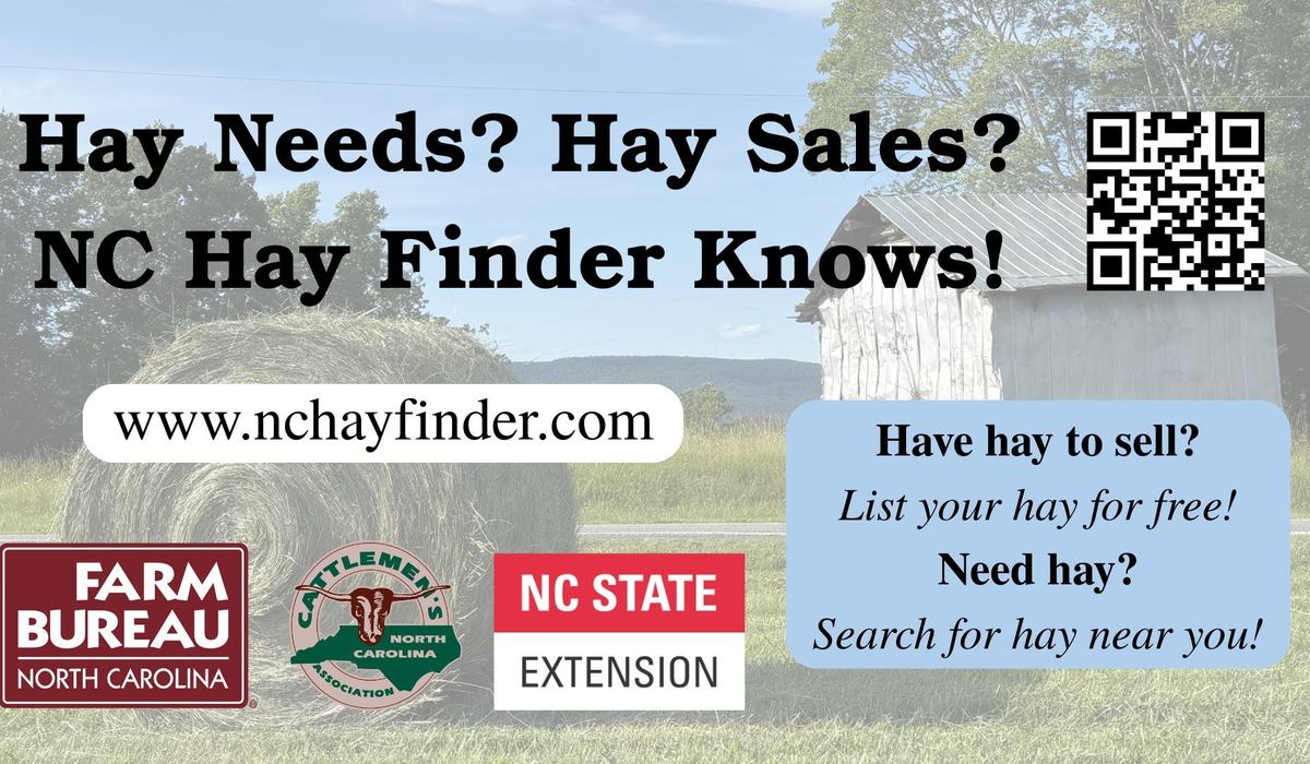 Making Hay Versus Buying Hay - Stokes County Center | N.C. Cooperative ...