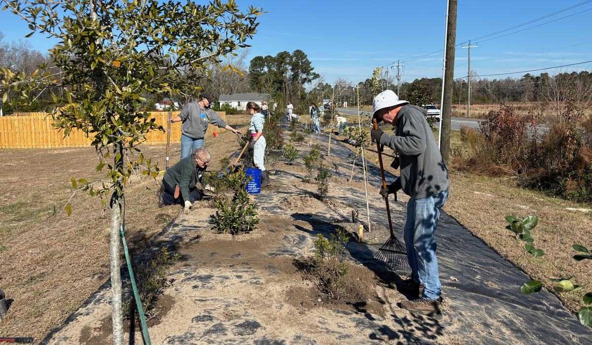 Roots in the Community: Extension Volunteers Cultivate Knowledge and ...
