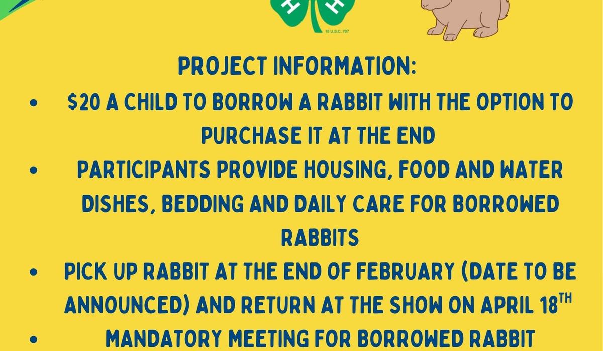 Greene County 4-H Borrowed Rabbit Project - Greene County Center | N.C ...