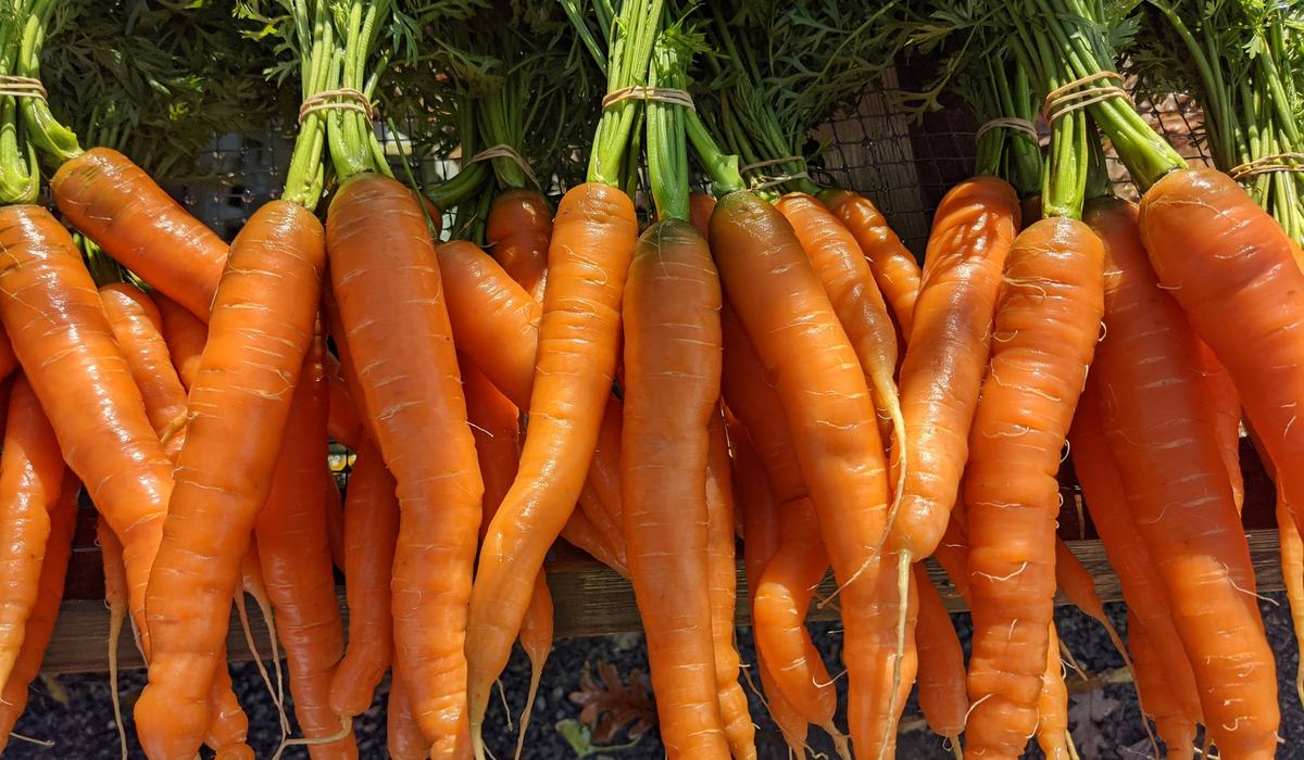 The Pittsboro Farmers' Market Is Moving Downtown! - Growing Small Farms