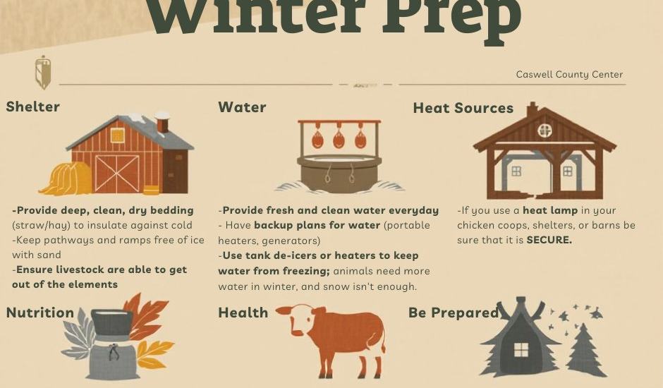 Preparing Livestock Farms for Winter Weather - Watauga County Center ...