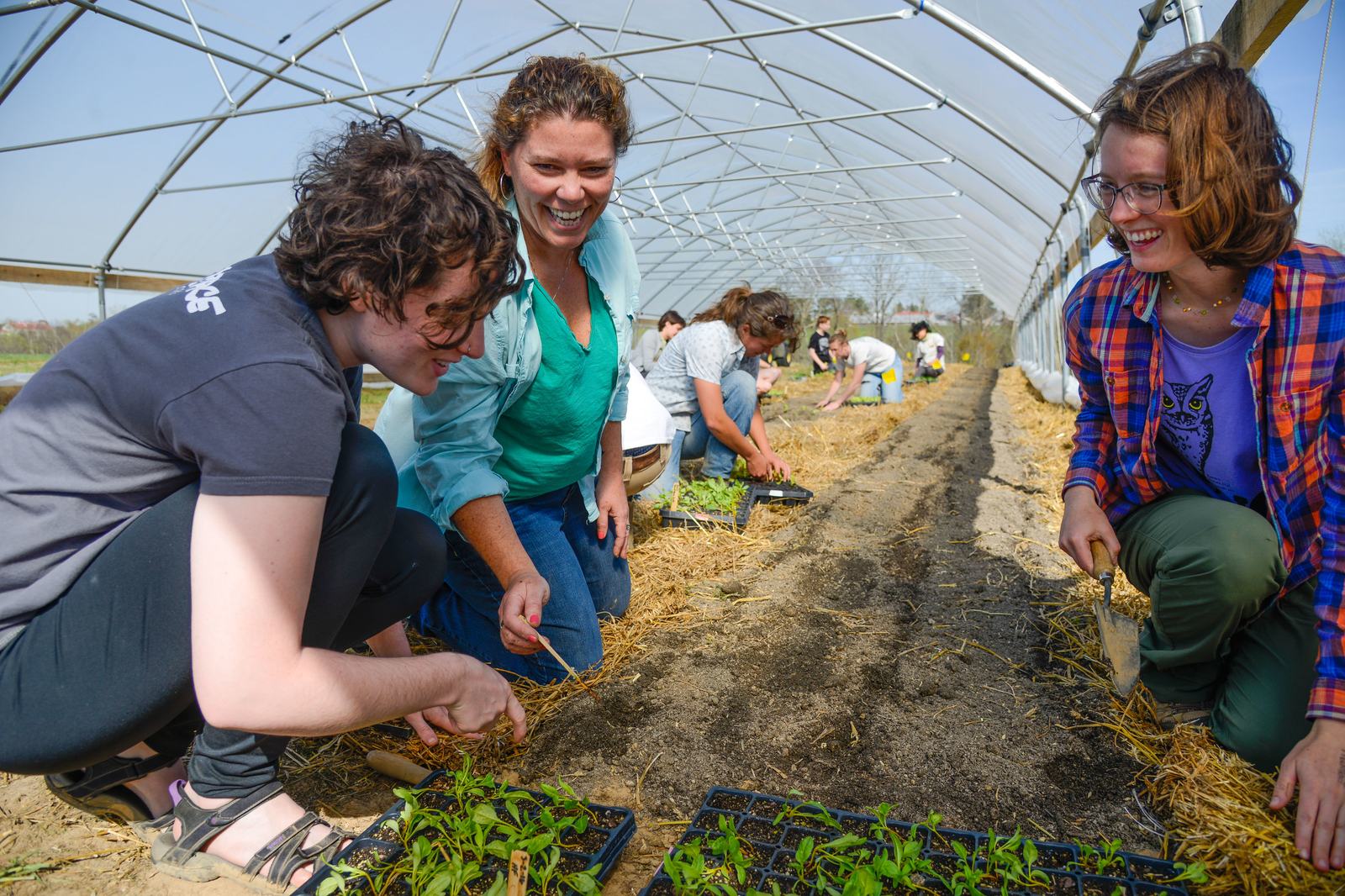 Ready, Set, Grow! | NC State Extension
