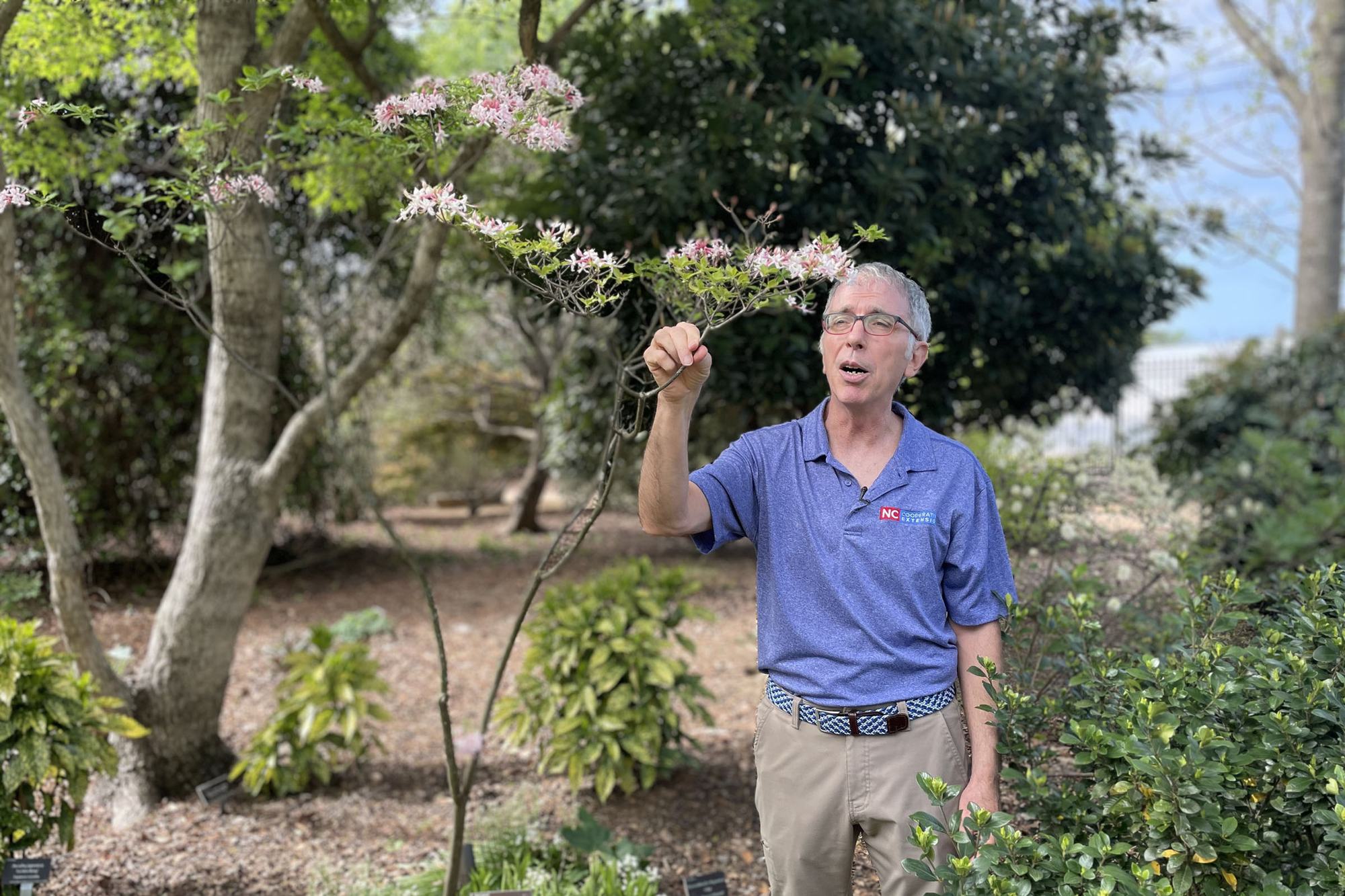 Ready, Set, Grow! | NC State Extension