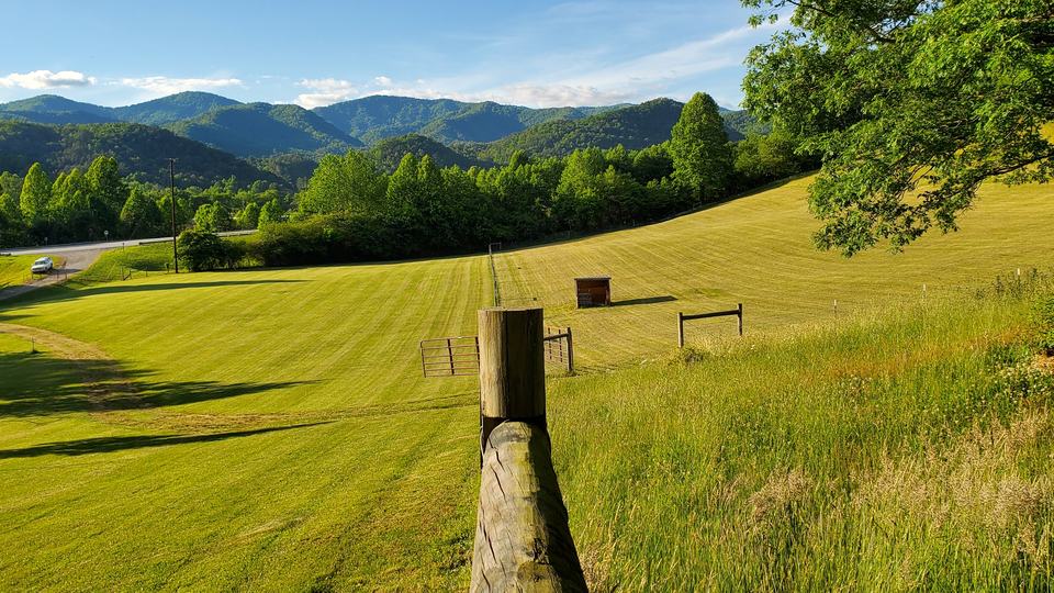 Monthly Tips for Tall Fescue Renovation: July 2025 - Cherokee County ...