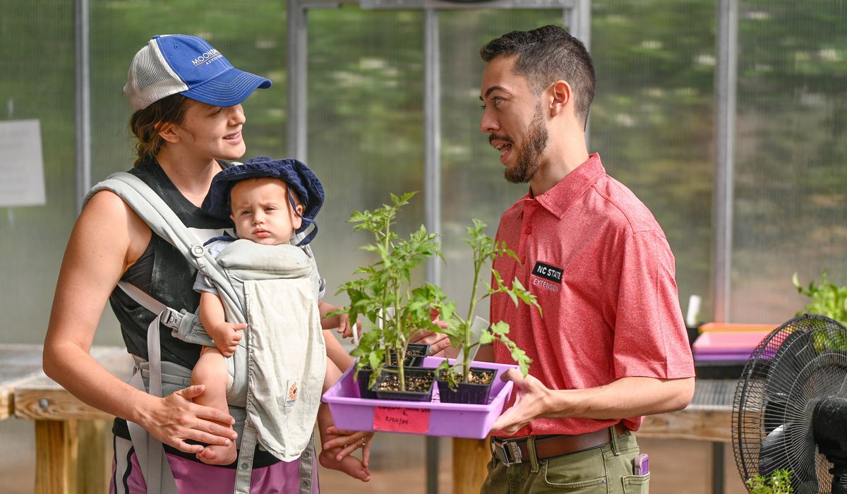 Ready, Set, Grow! | NC State Extension