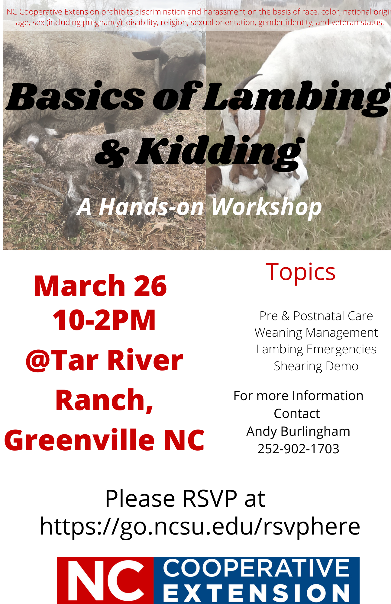 Basics of Lambing and Kidding - Northampton County Center | N.C ...